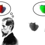 Qualia | Qué es, Definición y Concepto.